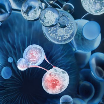 Blue Peptides Uplift Cream SPF 30 | Train your skin to bounce back ...